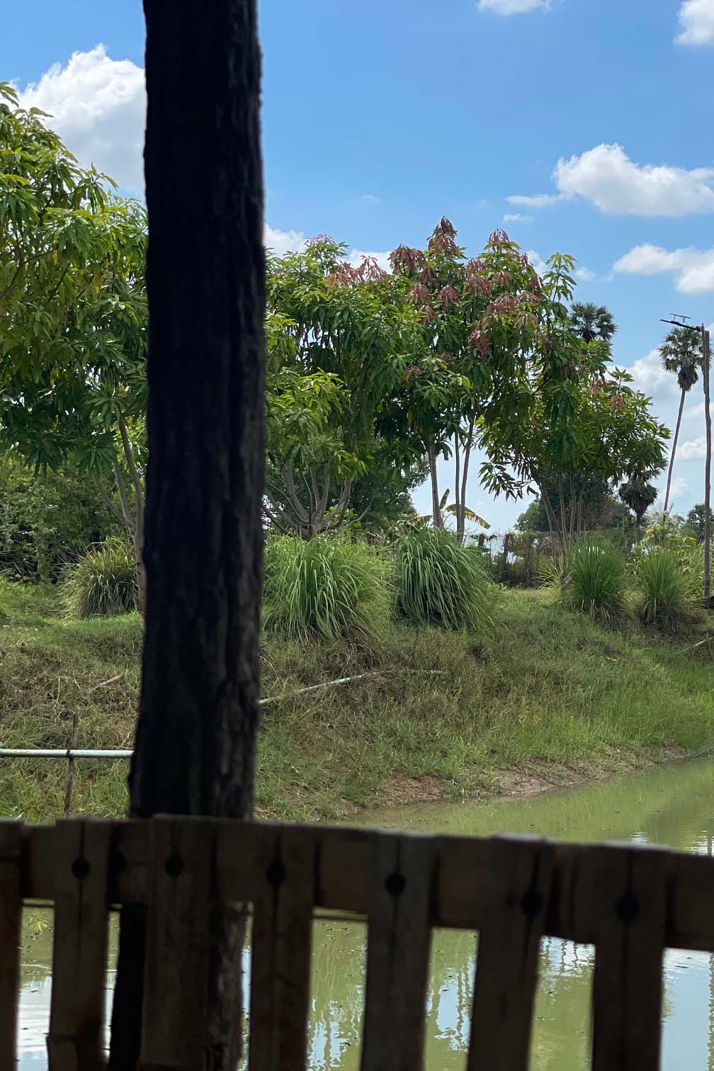 Impacts – VillageWorks