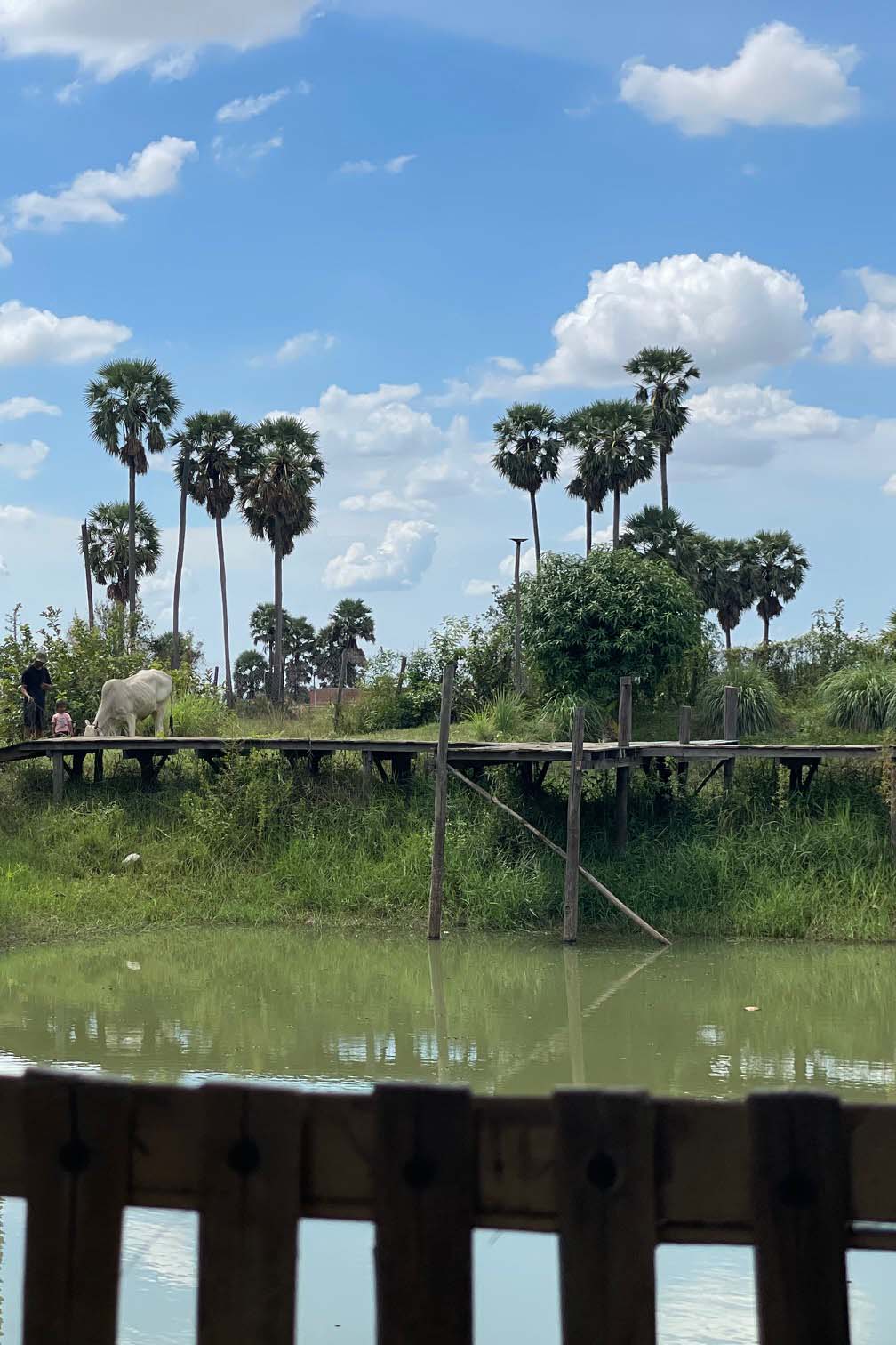 Impacts – VillageWorks